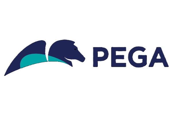 An award-winning partner for Pega – T-Systems