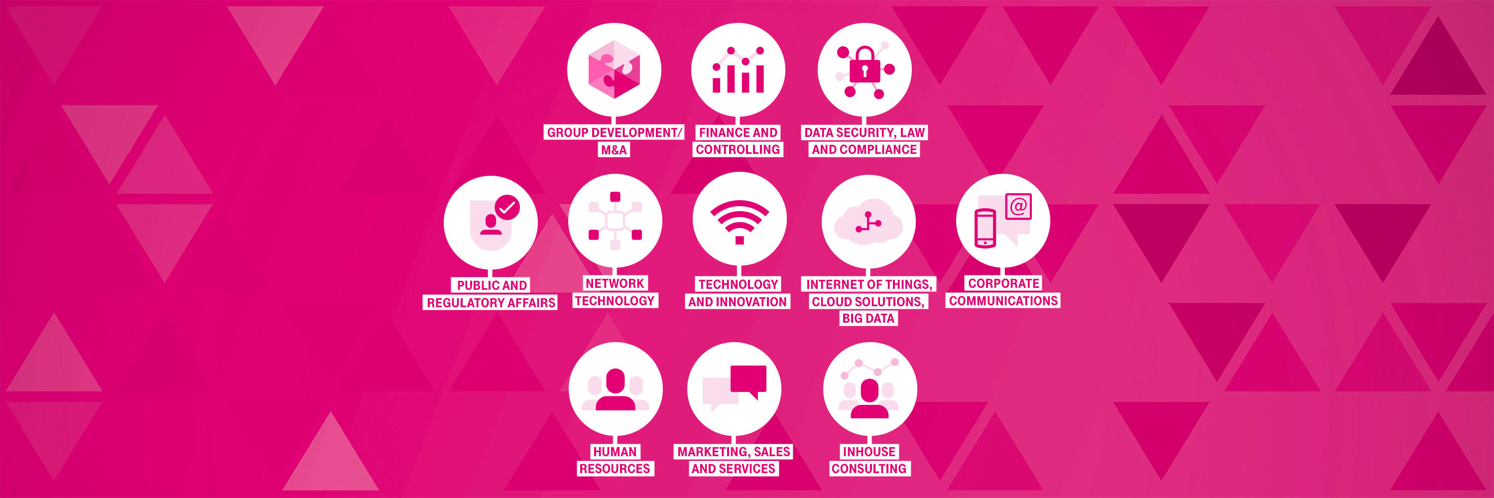 Trainee program Start up!