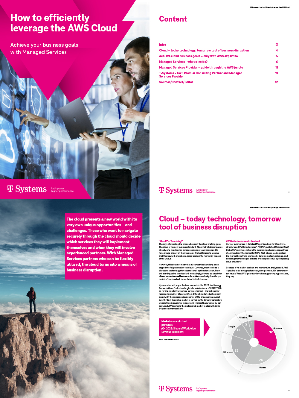 White paper: Efficiently use AWS – T-Systems