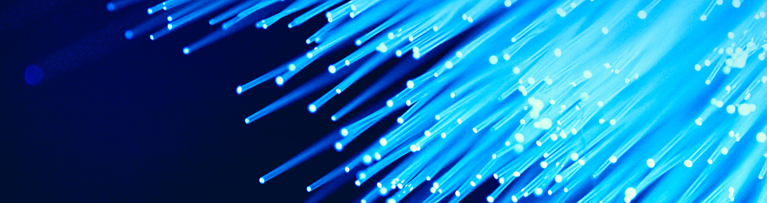 How AI from the public cloud is driving fiber optic expansion