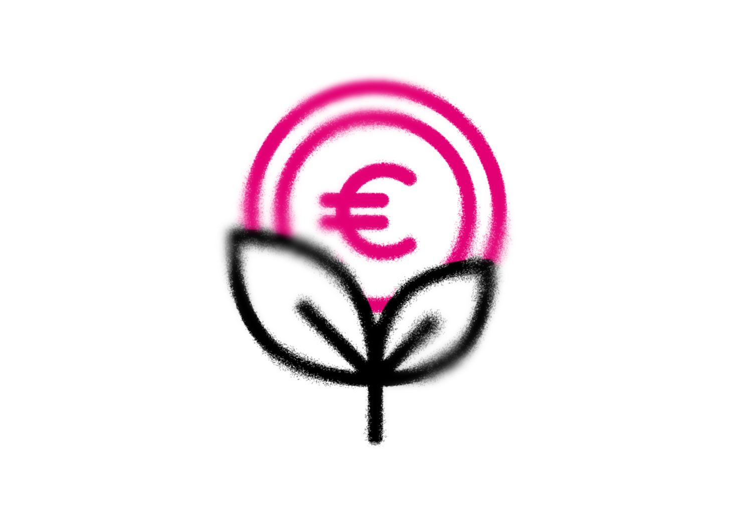 What we offer